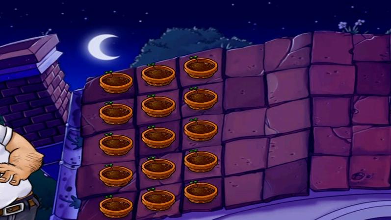 为什么pvz没有屋顶夜晚截图