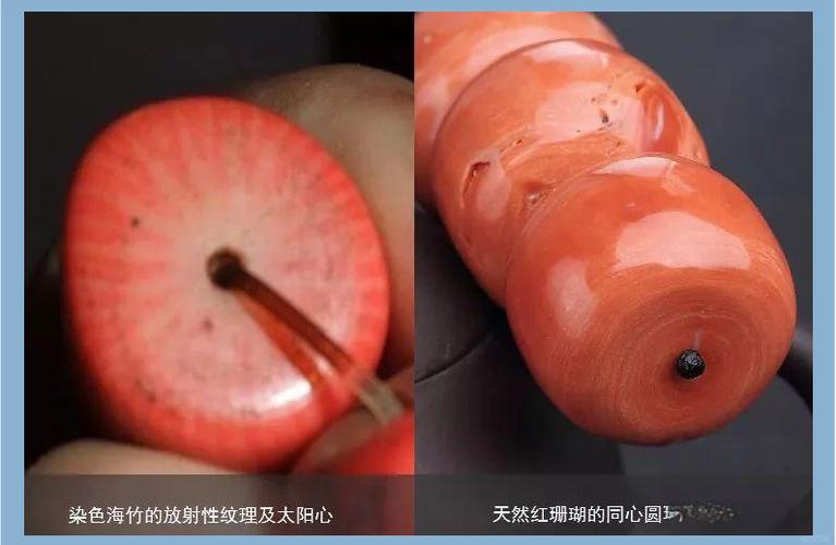 真假红珊瑚图片对照图图标