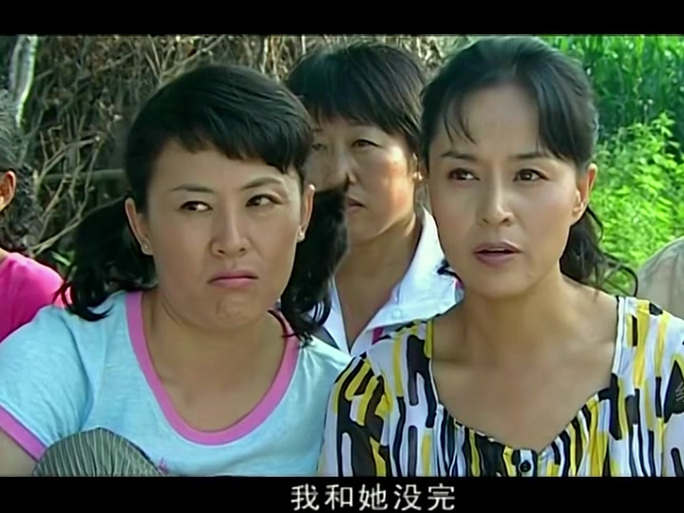 女人的村庄全集完整版图标