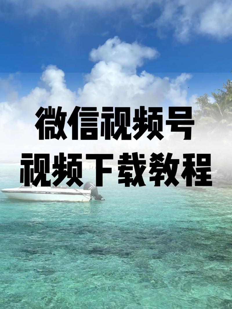 视频公众号的视频怎么下载截图