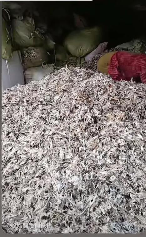大量收购野生中草药图标