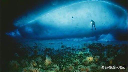 海底一万米压力有多大