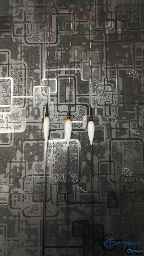 夜光漂的拆卸及维修图截图