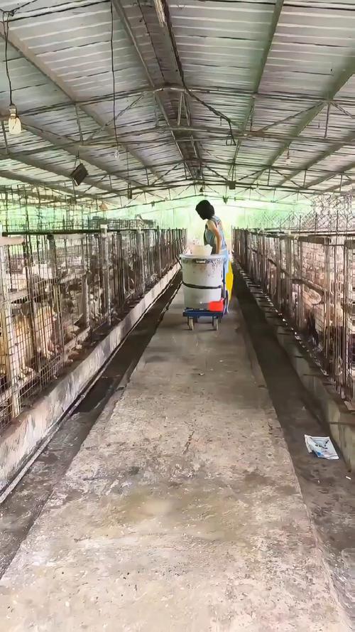 舜邦肉狗养殖基地图标