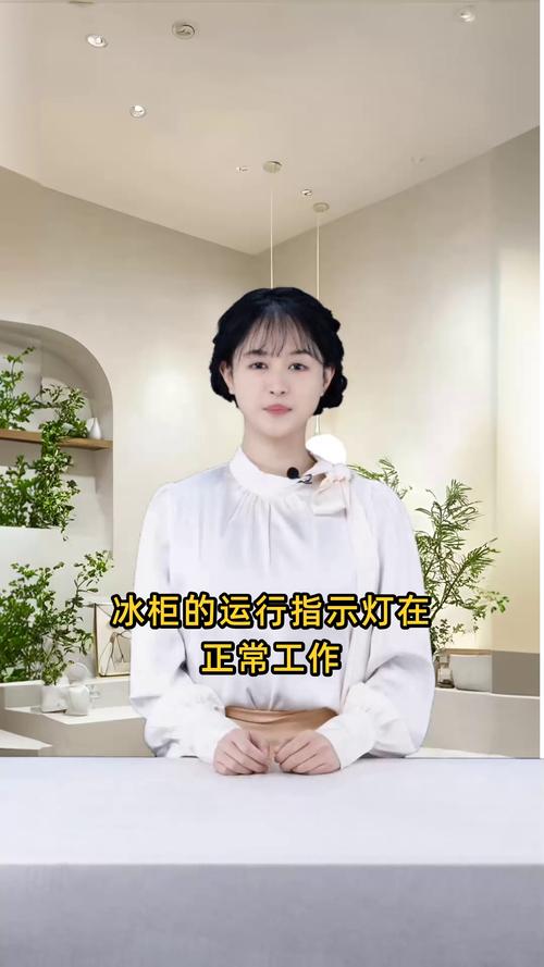 冰柜运行灯多久亮一次图标