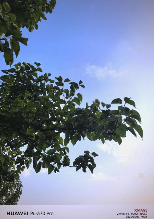手机图片相机去水印截图