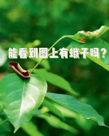 v10隐藏应用截图