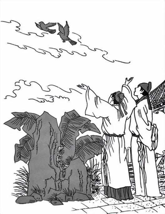 飞鸽传书官方版图标