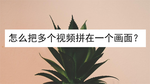 一个视频分三个画面图标