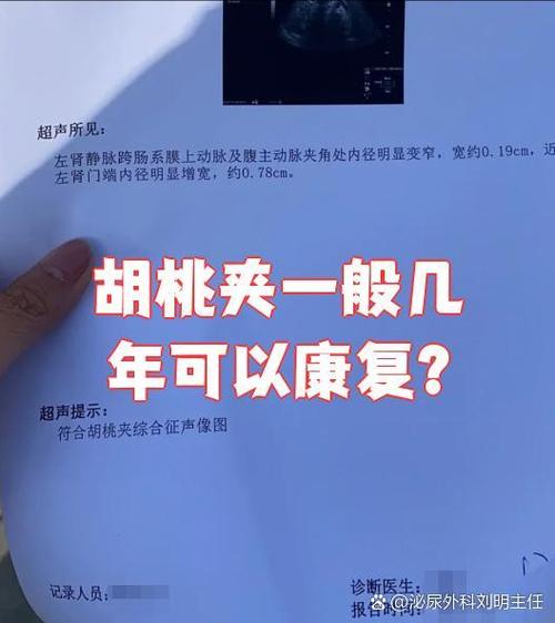 年龄大的人有胡桃夹吗图标