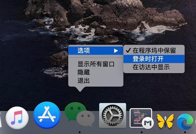 macos开机启动管理图标