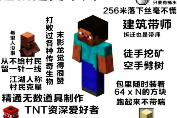 我的世界很简单的句子截图