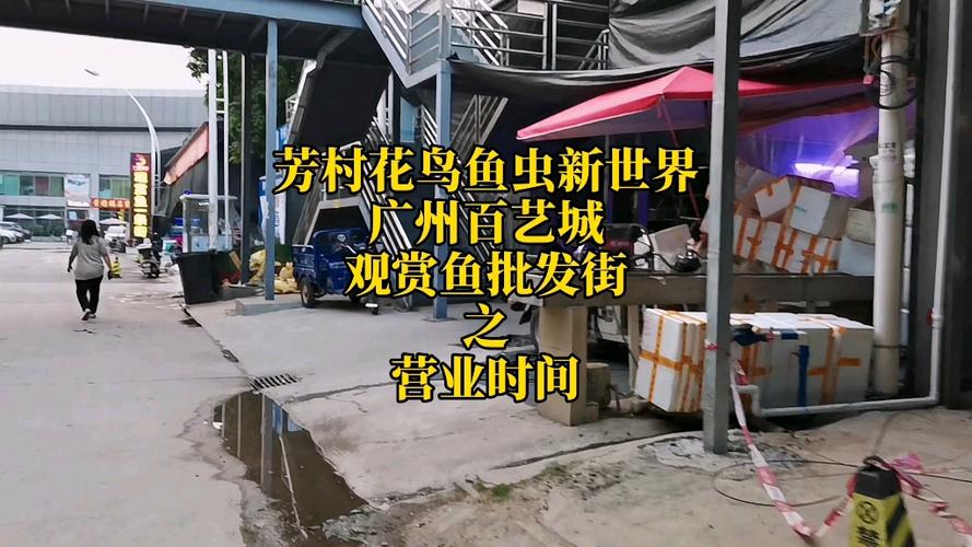 广州有几个观赏鱼市场图标