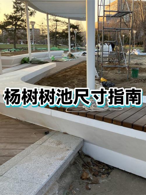 树池尺寸一般多大截图