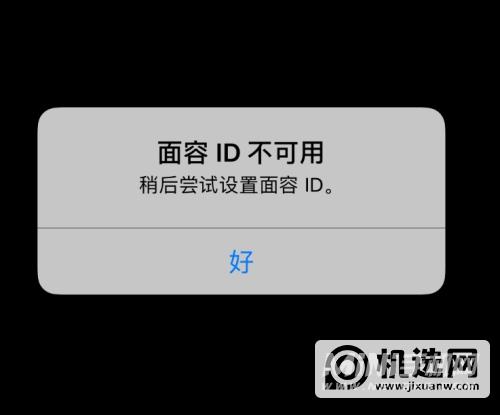 苹果12为什么设置不了面容了截图