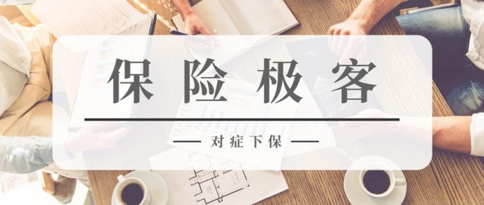 极客保险是保险公司吗图标