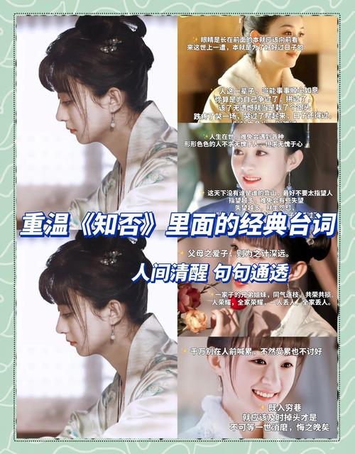 知否种马小说图标