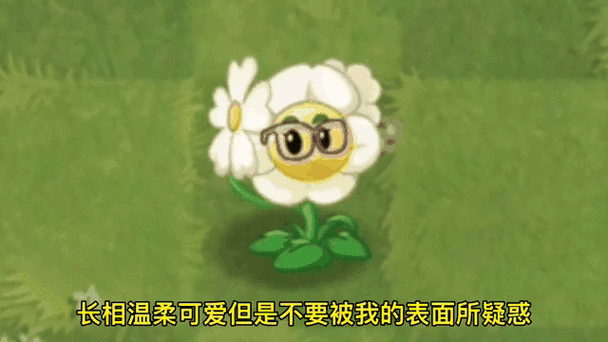 植物大战僵尸小雏菊截图