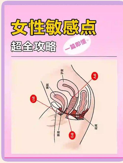 肛门刺激点图解位置图标