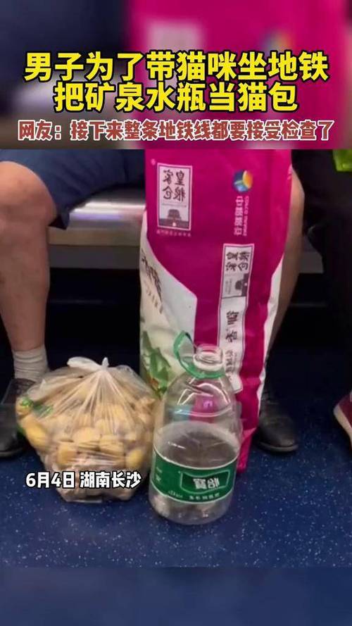 地铁可以带猫吗,放包里图标