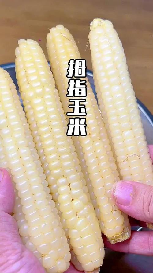 拇指玉米中间能吃吗图标