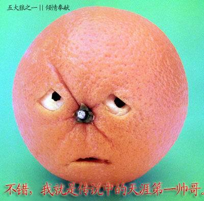 洋葱免不免过路费