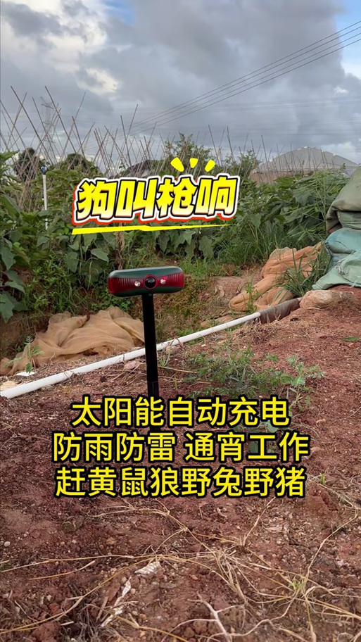 怎么驱赶野猪最有效图标