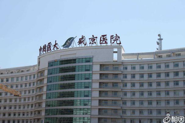 盛京医院地址图标