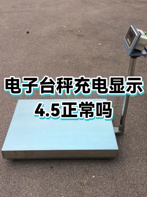 电子秤充满电显示什么图标