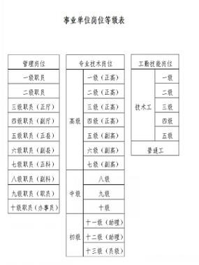 员工等级分为几个级别图标