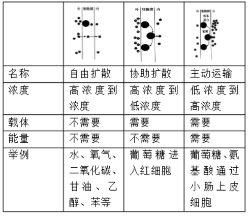 协助扩散耗能量嘛截图