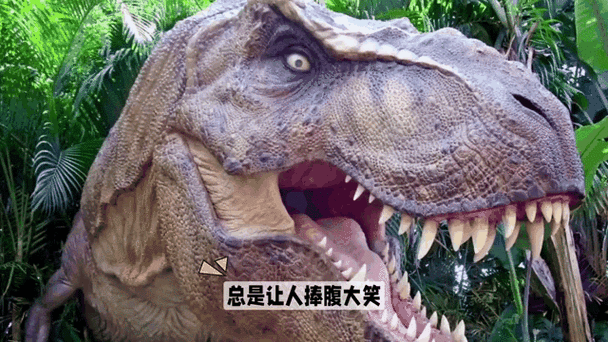 网红恐龙视频图标