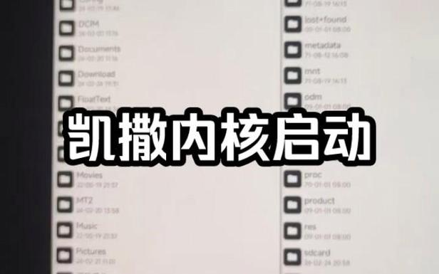 凯撒内核直装3.9免费图标