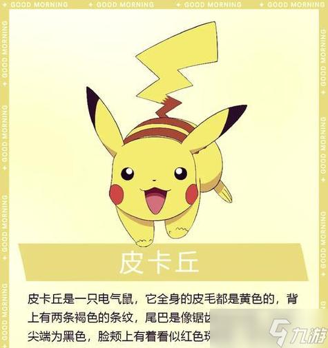 宝可梦剑盾皮卡丘捕捉攻略图标