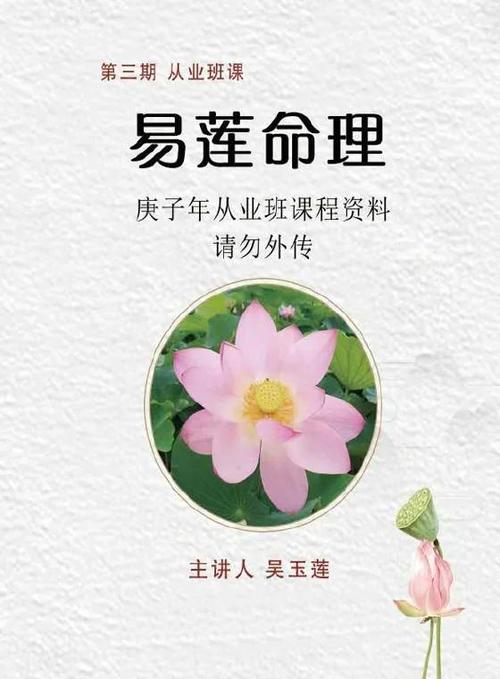 断八字的详细步骤图标