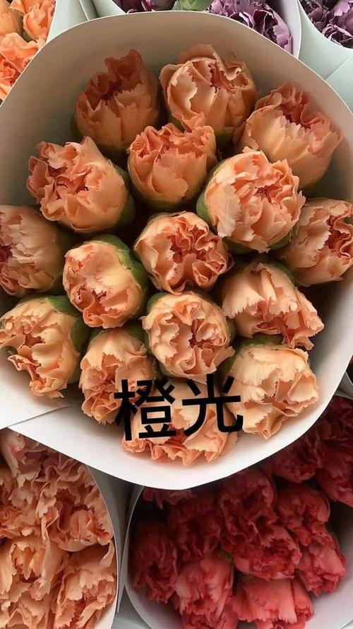 橙光600万鲜花作者赚多少图标