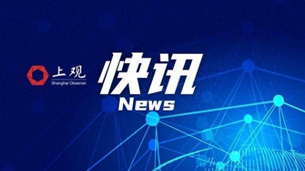 下载新浪新闻图标
