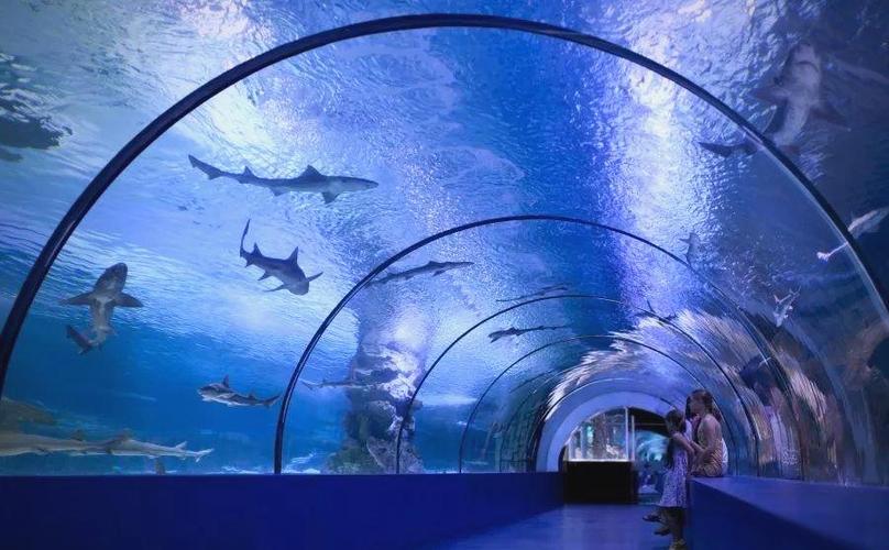 生态水族馆图标
