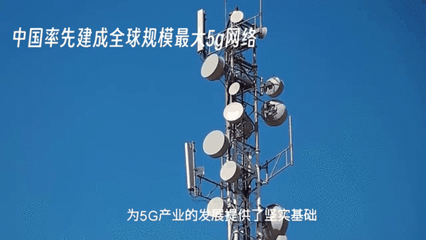 5G大网站图标