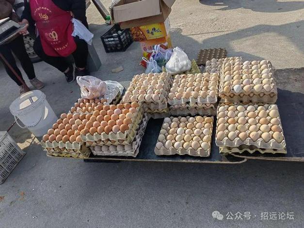 为何没人摆地摊卖鸡蛋图标