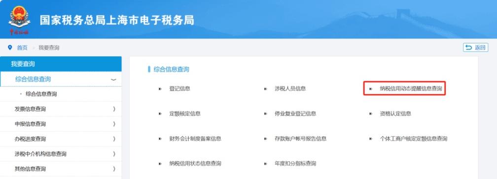 国家税务总局上海市电子税务局登录图标