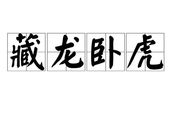 卧虎藏龙打准确生肖