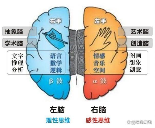 魔方锻炼左脑还是右脑图标