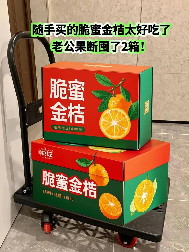 小橘子直装免卡密图标