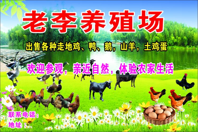 养殖场广告牌图片图标