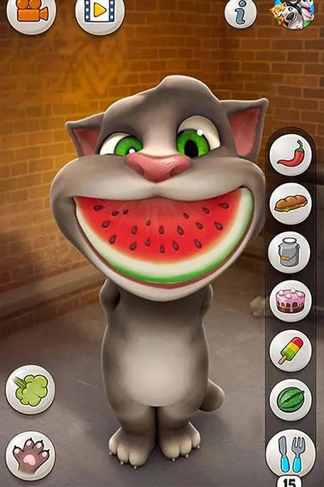 会说话的汤姆猫下载无限食物版图标