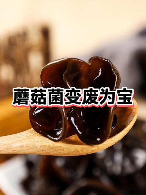 蘑菇菌种怎么才能长出蘑菇图标