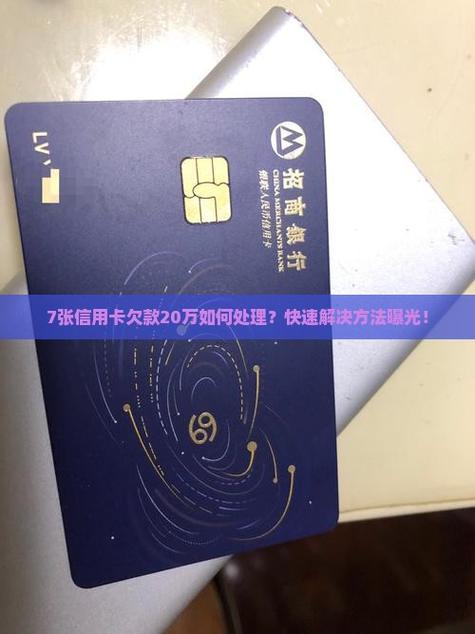7张信用卡一共欠了20万