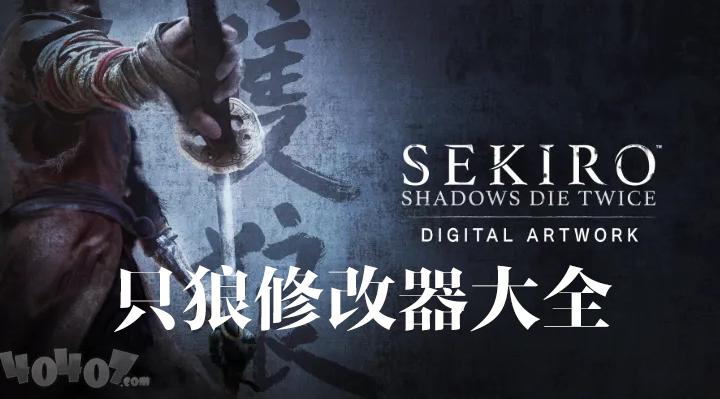 只狼游戏修改器版图标