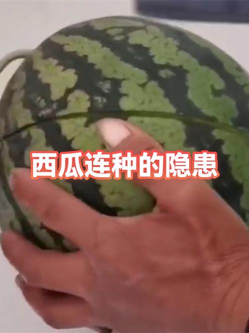 西瓜视频有安全隐患吗